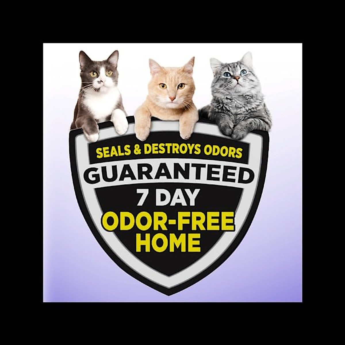 Arm & Hammer Slide Cat Litter - Clumping Multi-Cat, 38 lbs.