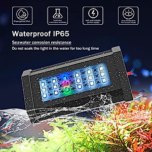 Lominie Planted Aquarium Light, 2-Channel Timer Dimmer Freshwater Small Fish Tank Light 6500K with Gooseneck for Planted Refugium Nano Tank (Bar10 Freshwater)