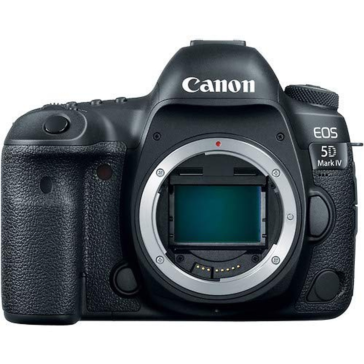 Canon EOS 5D Mark IV DSLR Camera w/EF 24-70mm f/2.8L II USM Lens +Canon EF 75-300mm+ Rode VideoMic Pro Plus + Professional Bi-Color LED Video Light & Accessories (Renewed)