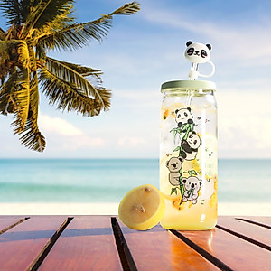 HOXHA 16 oz Glass Cup with Silicone Lid and Straw Drinking Cup Tumbler Beer Can Glass for Iced Coffee Soda Boba Tea Cocktail