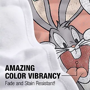 LOGOVISION Looney Tunes Lightweight Baby Blanket, 30"X40", Aint I A Stinker Unisex for Infants Girls & Boys