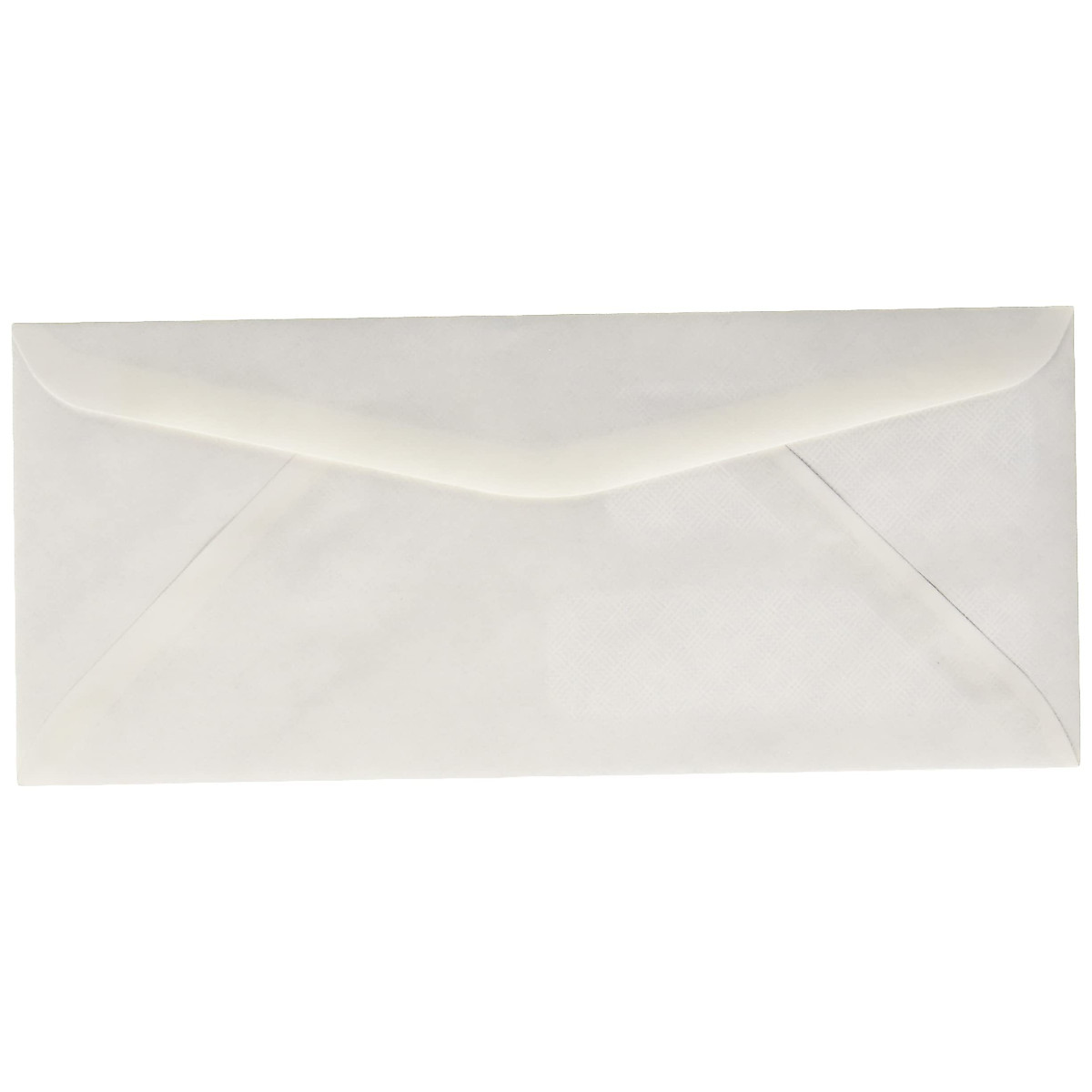 Amazon Basics #9 Double Window Security Tinted Envelopes, White, 500 ct