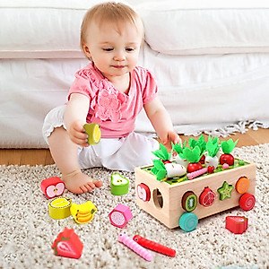 CUTE STONE Montessori Wooden Stacking Toys, Learning Sorting Toys for Toddlers, Baby, Kids, Boys and Girls