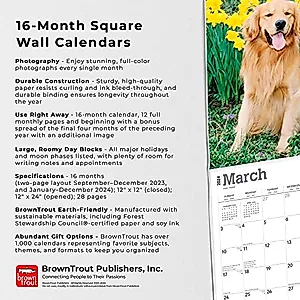 Golden Retrievers | 2024 12 x 24 Inch Monthly Square Wall Calendar | Foil Stamped Cover | BrownTrout | Animals Dog Breeds Retriever
