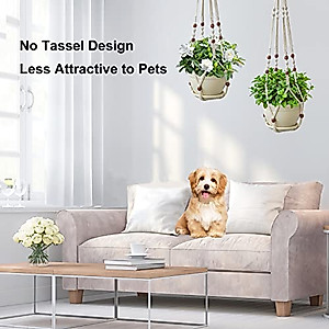 Checrxy Macrame Plant Hanger with Pot, 3 Set Hanging Planters for Indoor Plants, Handmade Cotton Rope Boho Home Decor, Idea Gift for Anyone, Includes Plant Holders, Pots, Plates and Hooks (Ivory)