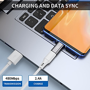 QianLink Micro USB to USB C Adapter,8-Pack Aluminum USB Type C Adapter Convert Connector Compatible with Samsung Galaxy S10 S9 S8 Plus Note 9 8, LG V40 V35 V30 V20 G7 G6,Pixel 2 XL,Moto Z2 Z3(Gray)