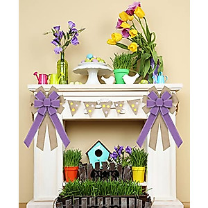 Estivaux Easter Wired Ribbons for Crafting 2.5 Inch ×10 Yards, Purple Lavender Burlap Ribbon Bows Mardi Gras Ribbon Ornaments Spring Holiday Craft Ribbons for Wreath Bow Gift Wrapping Decorations