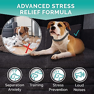 PREMIUM CARE Calming Collar for Dogs - Anti-Anxiety and Stress Relief Collar - Pheromone Collars for Dogs - Adjustable up to 24.4 inches - Lasts up to 60 Days- De-Stress Formula to Relieve Stress