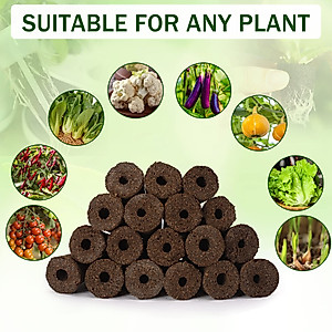 DECYOOL Garden Seed Pods, 48pcs Hydroponic Pods Kit:Grow Anything Kit with 12 Grow Baskets,12 Grow Sponges, 12 Pod Labels,12 Grow Domes