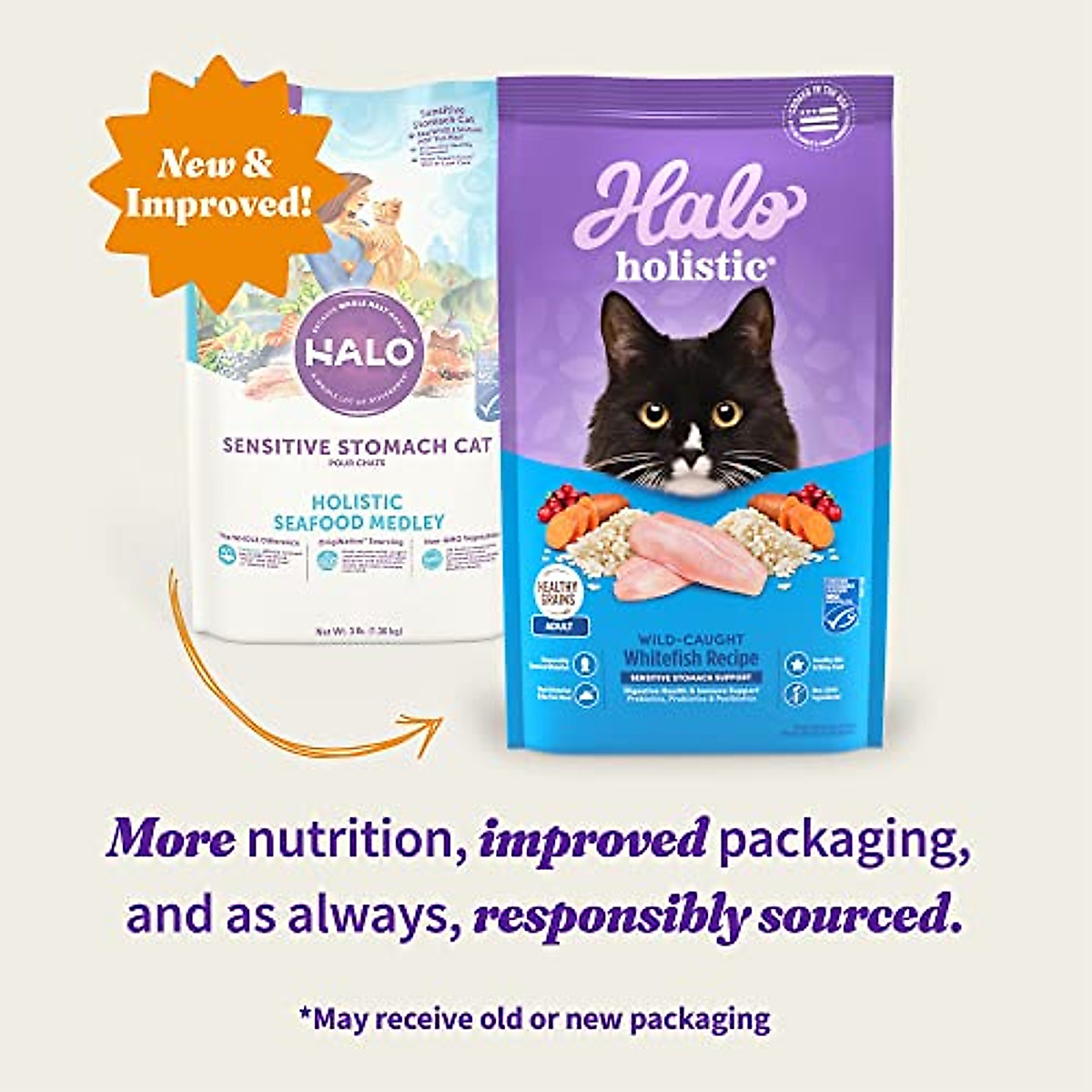 Halo Holistic Cat Food Dry, Wild-caught Whitefish Recipe for Sensitive Stomach Support, Complete Digestive Health, Dry Cat Food Bag, Sensitive Stomach Formula, 6-lb Bag