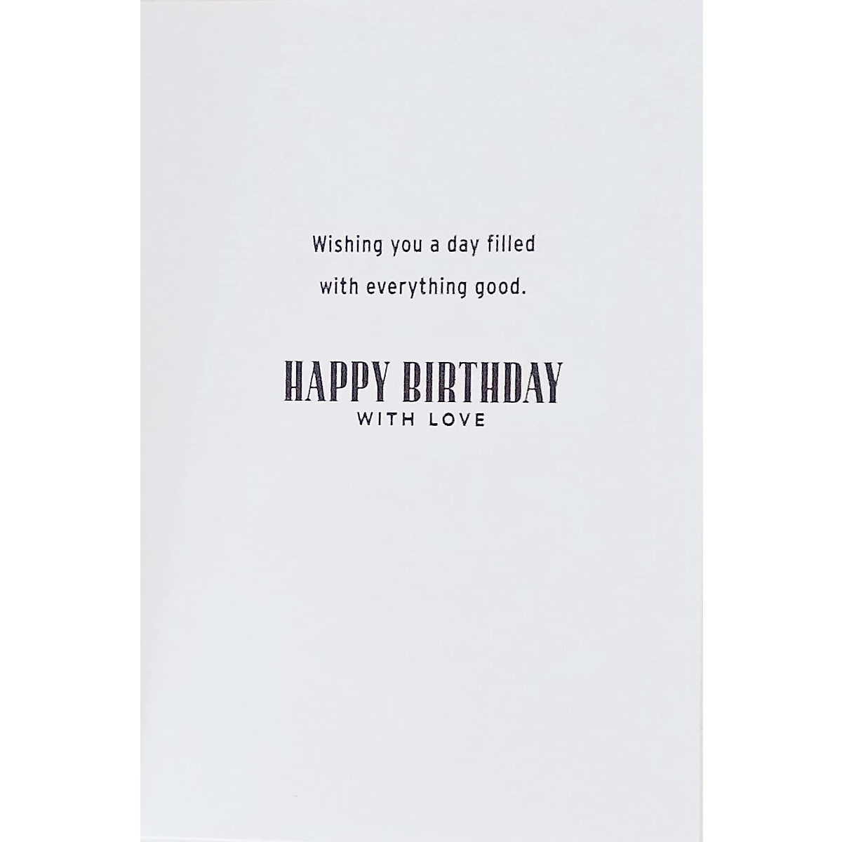Greeting Card For You Son-in-Law - Wishing You A Day Filled With Everything Good - Happy Birthday With Love