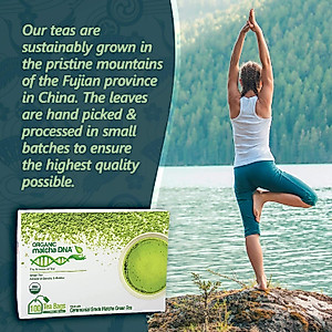 Matcha Teabags MatchaDNA Certified Organic Matcha Green Tea by MATCHA DNA - 100 Teabags