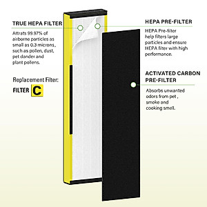 2 Pack FLT5000 True HEPA Replacement filter C for AC5000, AC5000E, AC5250PT, AC5350B, AC5350BCA, AC5350W, AC5300B, CDAP5500B, AP2800CA