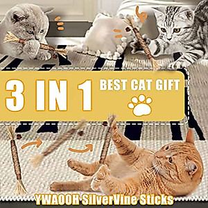 YWAOOH Catnip Toys with Silvervine for Cats, Cat Chew Toy for Kitten Teething, Interactive Cat Toy for Indoor Cats, Natural & Safe Cat Toys