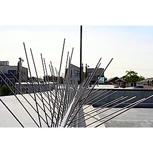 Bird-X Standard (STS-10-R) STAINLESS STEEL SPIKES-10, 10 feet