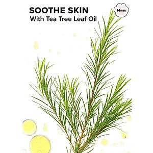 I DEW CARE Hydrocolloid Acne Pimple Patch - Timeout Blemish Happy Paws | Korean Cute Acne Patches | zit patches for face and skin, 36 Count (14mm), Facial Stickers, Absorbing with Tea Tree Leaf Oil