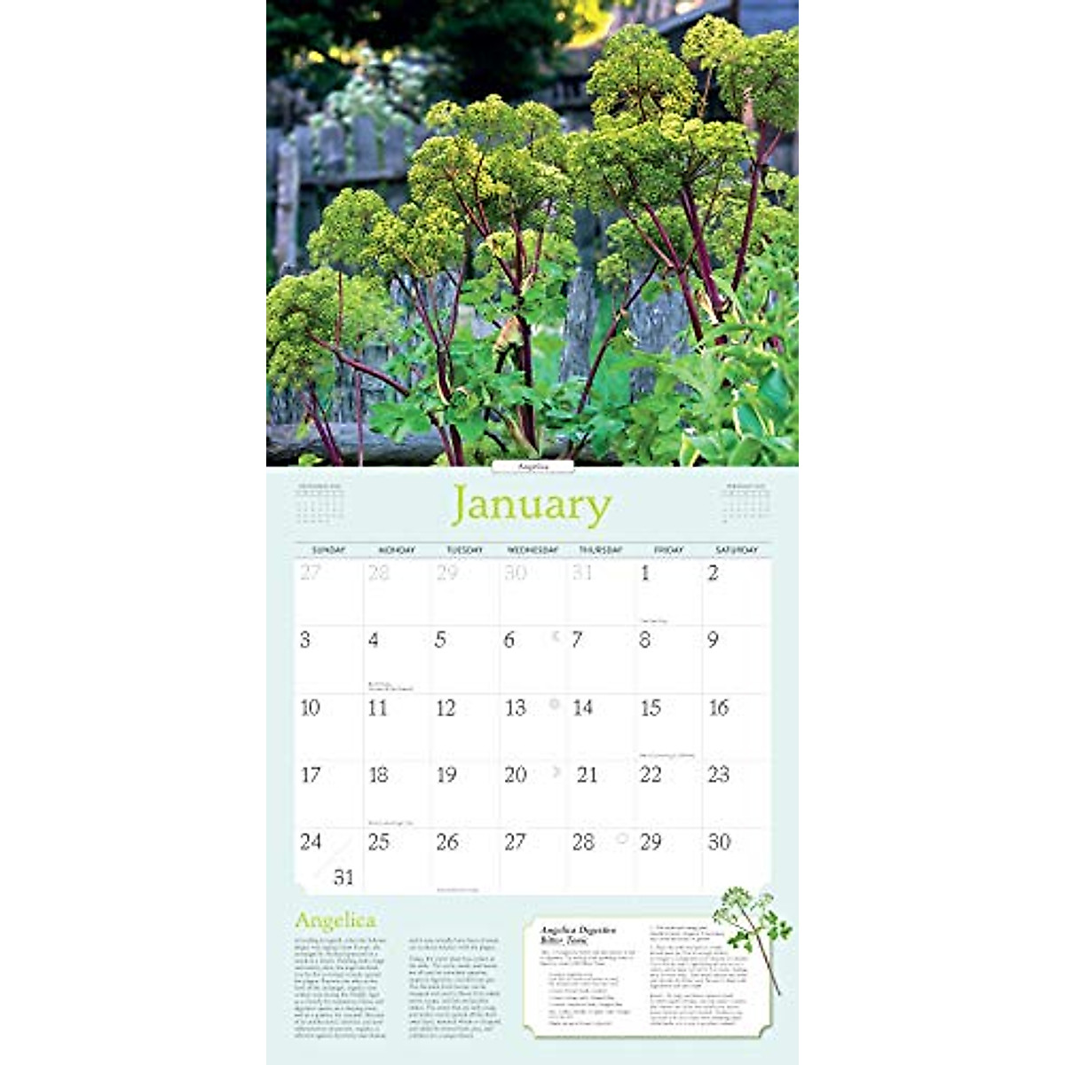 Rosemary Gladstar's Herbs Wall Calendar 2021