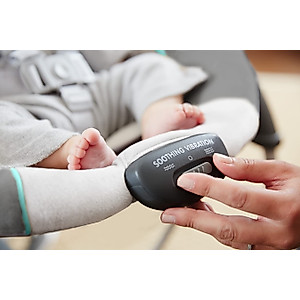 Graco Glider LX Gliding Swing, Affinia