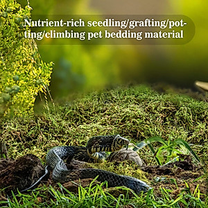 Sukh Sphagnum Moss for Reptiles - Terrarium Moss for Reptiles Peat Moss for Reptiles Habitat Bedding Moss for Snakes Turtle Frog Gecko and Other Reptiles Substrate (3, Ounces)