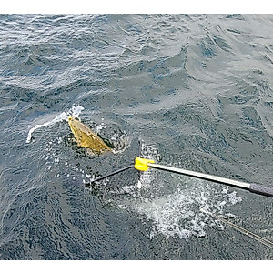 Frabill Conservation Telescoping Handle Net | Teardrop Hoop Size: 20" X 23" | Telescoping Handle: 35-60" | Netting: Tangle-Free Micromesh | Net Depth: 18"