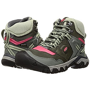 KEEN Women's Ridge Flex Mid Height Waterproof Hiking Boots, Castor Grey/Dubarry, 9
