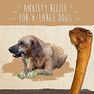 Mighty Paw Naturals Bully Sticks - All-Natural Protein-Rich Dog Chews from Grass-Fed Beef. Single-Ingredient Pet Treat for Dental Health. Keeps Chewers Busy - Bully Stick - Dental Chew Dog - Dog Stick