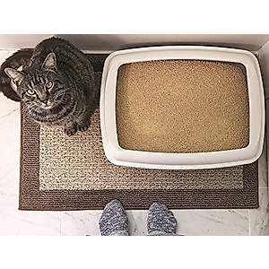 World's Best Cat Litter, Scented Clumping Litter Formula for Multiple Cats, 28-Pounds