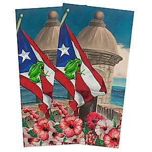 Kitchen Dish Towels 2 Pack-Super Absorbent Soft Microfiber,Puerto Rico Flag Frog Ocean Beach Cleaning Dishcloth Hand Towels Tea Towels for Kitchen Bathroom Bar