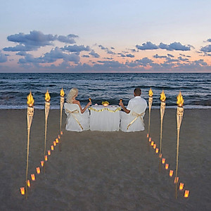 SUNYPLAY Torch Canisters, 12 oz Bamboo Torch Refill Canister, 4 Pack Replacement Outdoor Torch Canister with Wicks and Covers for Luau Party, DIY Garden Torch Decor