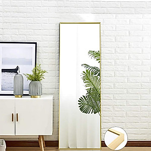 TECNR Full Length Mirror Floor Mirror Hanging Standing or Leaning, Bedroom Mirror Wall-Mounted Mirror with Gold Aluminum Alloy Frame, 59" x 15.7"