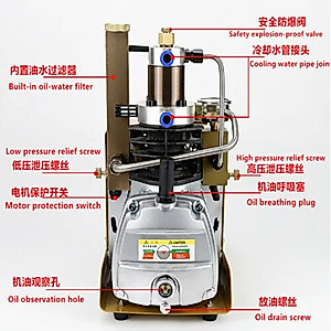 BJTDLLX 4500Psi High-Pressure Electric PCP Air Compressor, 110V 30MPa Scuba Diving Pump, Water Pump Water-cooled with Water Pipe, for Fire Fighting and Diving, Pressure and Leakage Testing