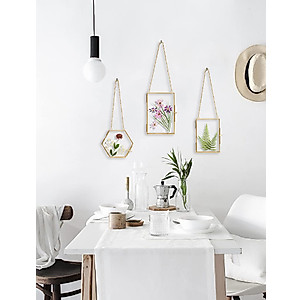 Double Glass Frame for Pressed Flowers - w/Real Dried Flowers and Tweezer for Handicrafts, Photo, or Other Small Flat Items