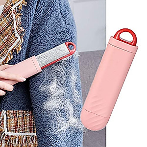 2 Pcs Pet Hair Remover Double-sided Fur Removal Brush Fur Hair Removal Tool for Clothes Sofa Carpet Car Seat