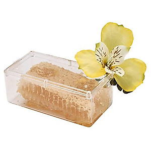 Pioneer Plastics 155C Clear Rectangular Plastic Container, 4.3125" W x 2.25" D x 1.75" H, Pack of 12
