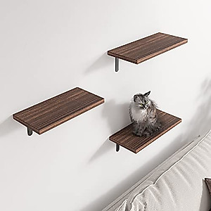 Fixwal Floating Shelves, Rustic Wood Wall Shelves Set of 6, Shelves for Wall Decor, Farmhouse Style for Bedroom, Living Room, Kitchen, Bathroom, Office and Plants (Dark Carbonized Black)