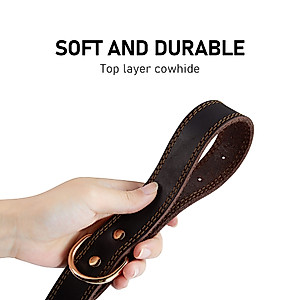 DAIHAQIKO Dog Collar, Genuine Leather Dog Collar, Heavy Duty Dog Collar, Wide Dog Collar for Small Dog, Medium Dog, Large Dog and Extra Large Dog (M: 1" Wide for 15.2"-19.2" Neck, Dual Stitch - Brown)