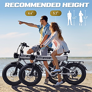 Adult Electric Bike 1200W Motor 32MPH, 48V 20AH Removable Battery EBike 20x4.0 Fat Tires, Beach Mountain Off-Road E Bbikes with Dual Shock Absorbers Bicicletas
