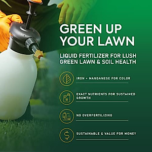 Green Organic Lawn Fertilizer - Grass Fertilizer for Lawn Color & Sustained Growth, Lawn Fertilizer That Conditions & Nourishes Soil, No Harsh Chemicals Lawn Care, 1 Gal. Lawn Food for 20,000 sq. ft.