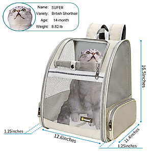 Texsens Pet Backpack Carrier for Small Cats Dogs | Ventilated Design, Safety Straps, Buckle Support, Collapsible | Designed for Travel, Hiking & Outdoor Use (Creamy White)