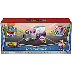 PAW Patrol, Big Truck Pup’s Skye Transforming Toy Trucks with Collectible Action Figure, Kids Toys for Ages 3 and up