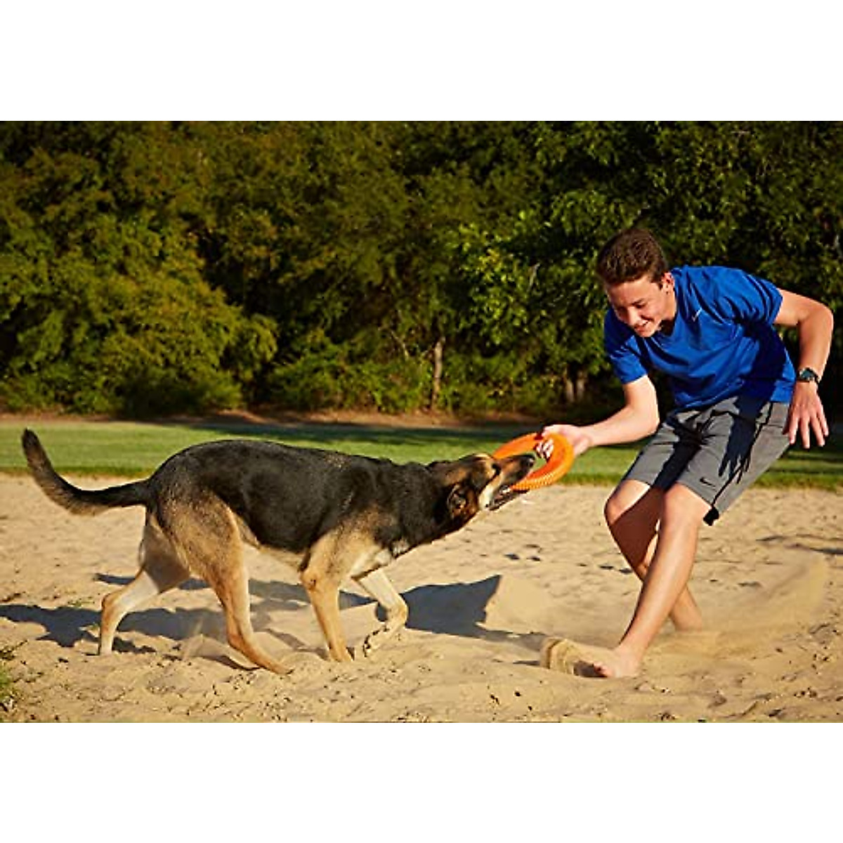 Chuckit Rugged Flyer Dog Toy, Medium, Assorted Colors