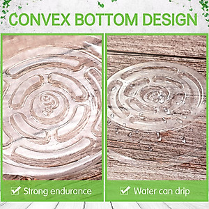 Shellwei 100 Pcs Plastic Plant Saucer Plant Drip Trays 6 Inch Plant Clear Water Plant Plate Plastic Dish Trays Plant Trays for Pot Indoor Outdoor Garden Container Planters Drainage