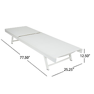 Christopher Knight Home Salton Outdoor Aluminum and Mesh Chaise Lounge Set, 2-Pcs Set, White / White