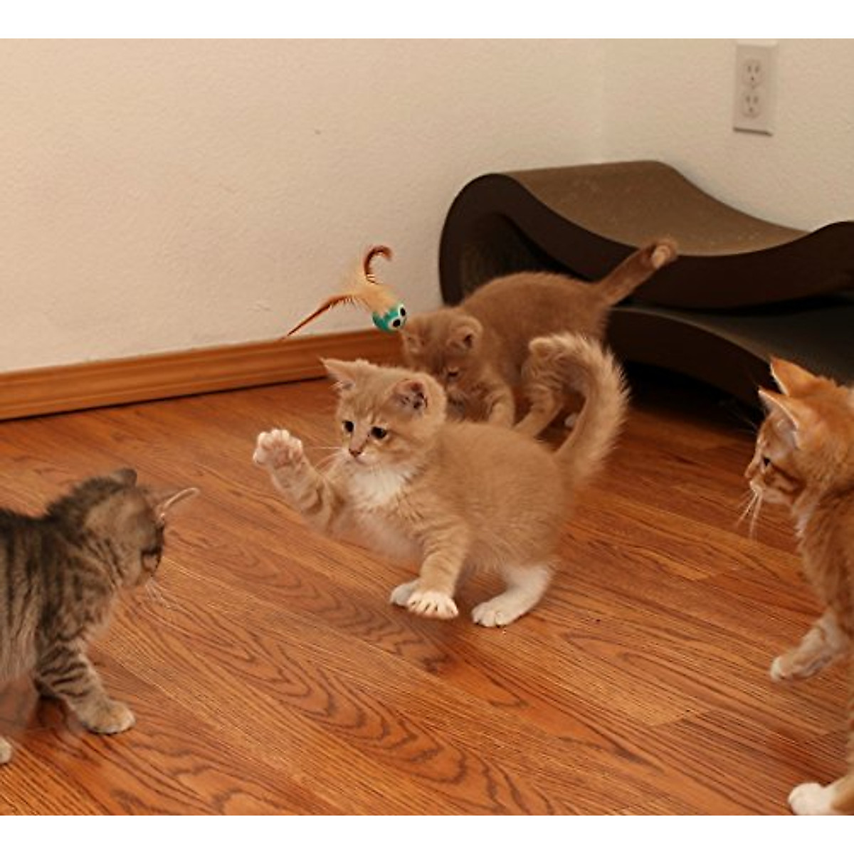 Bouncy Tails 5 Pack Interactive Bouncy Ball with Natural Feathers for Indoor Cats and Kittens who Love to Play and Have Fun.