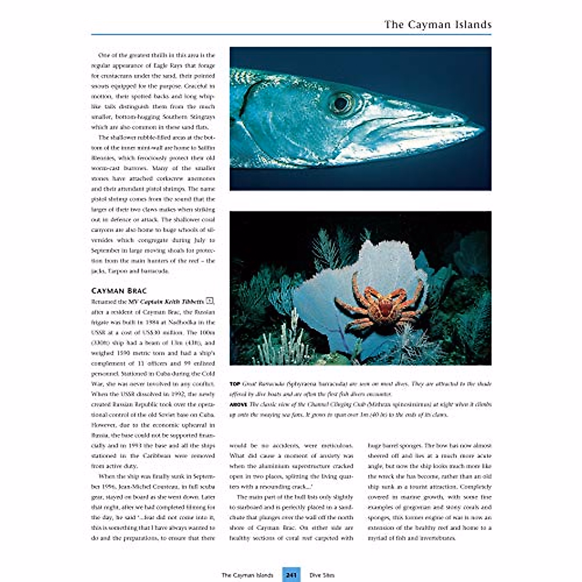 Dive Atlas of the World: An Illustrated Reference to the Best Sites (IMM Lifestyle Books) A Global Tour of Wrecks, Walls, Caves, and Blue Holes from Lawson Reef to the Red Sea to the Great Barrier