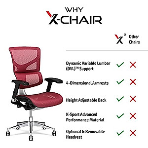 X-Chair X2 Management Task Chair, White K-Sport Mesh Fabric with Headrest - Ergonomic Office Seat/Dynamic Variable Lumbar Support/Floating Recline/Highly Adjustable/Perfect for Long Work Days