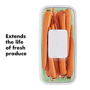 OXO Good Grips GreenSaver Produce Keeper - Large,White and OXO, Good Grips Storage Container