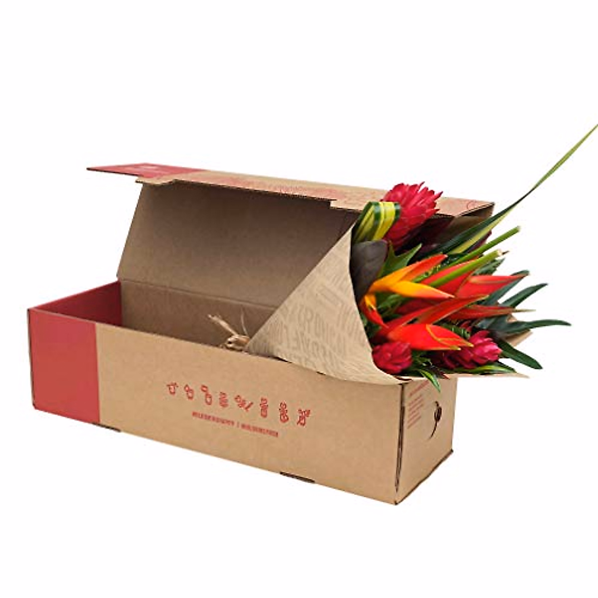 BloomsyBox - Tropical Bouquet Treasure with Bright Heliconias, Pink Ginger and Tropical Greenery (Fresh Cut Flowers)