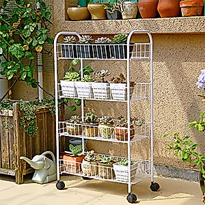 2 Inch Casters Swivel Stem Caster Wheel 1/4" - 20 x 1" New PP Furniture Shelving Casters Replacement Castors with Brakes (with Brake-Black)