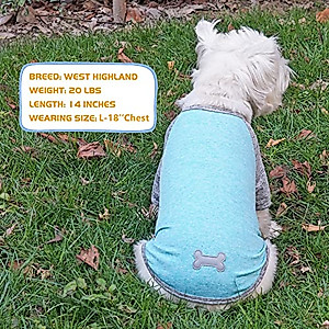 KYEESE 2 Pack Dog Shirts Raglan Sleeve Quick Dry Lightweight Stretchy Protects Against Foxtails Dog T-Shirts with Reflective Label Puppy Shirts for Small Dogs Sun Protection, Medium, Grey+Blue